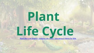 Living things-Plant and Animal Life Cycle.pptx