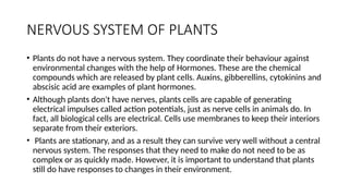 Plant and Animal Nervous System in education biology | PPTX