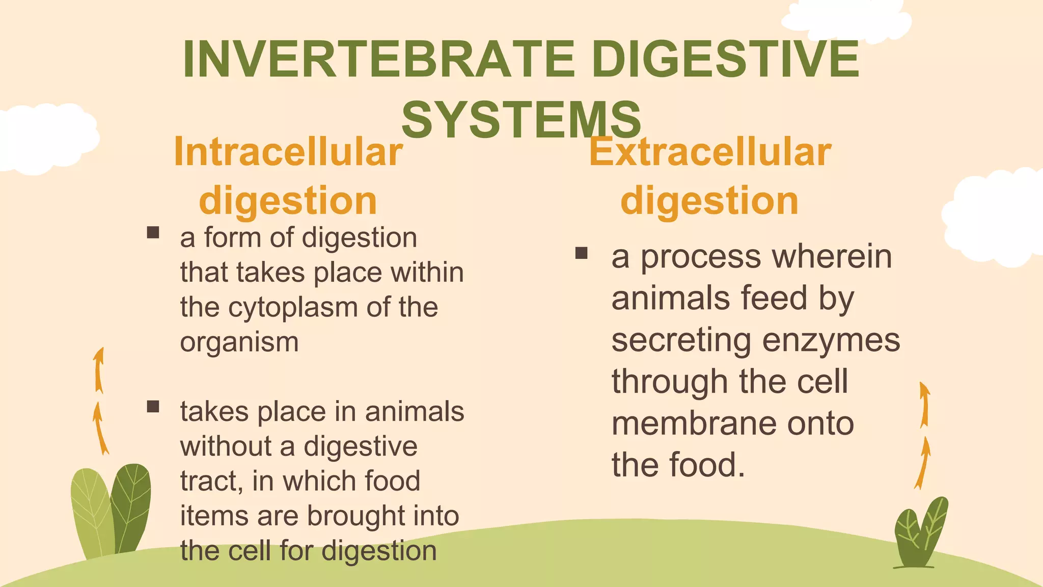 Plant and Animal Nutrition.pptx