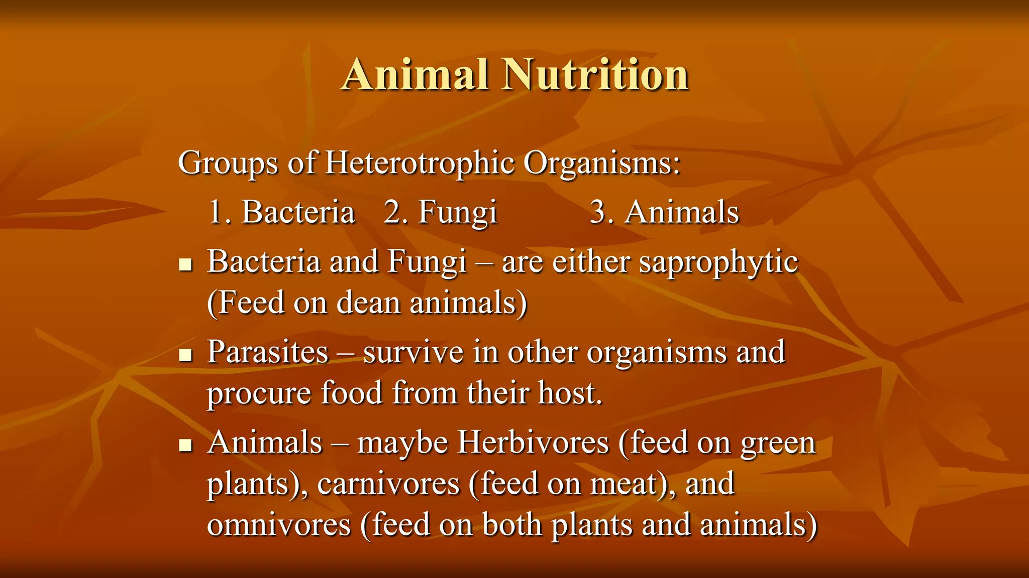 Plant and Animal Nutrition.pptx