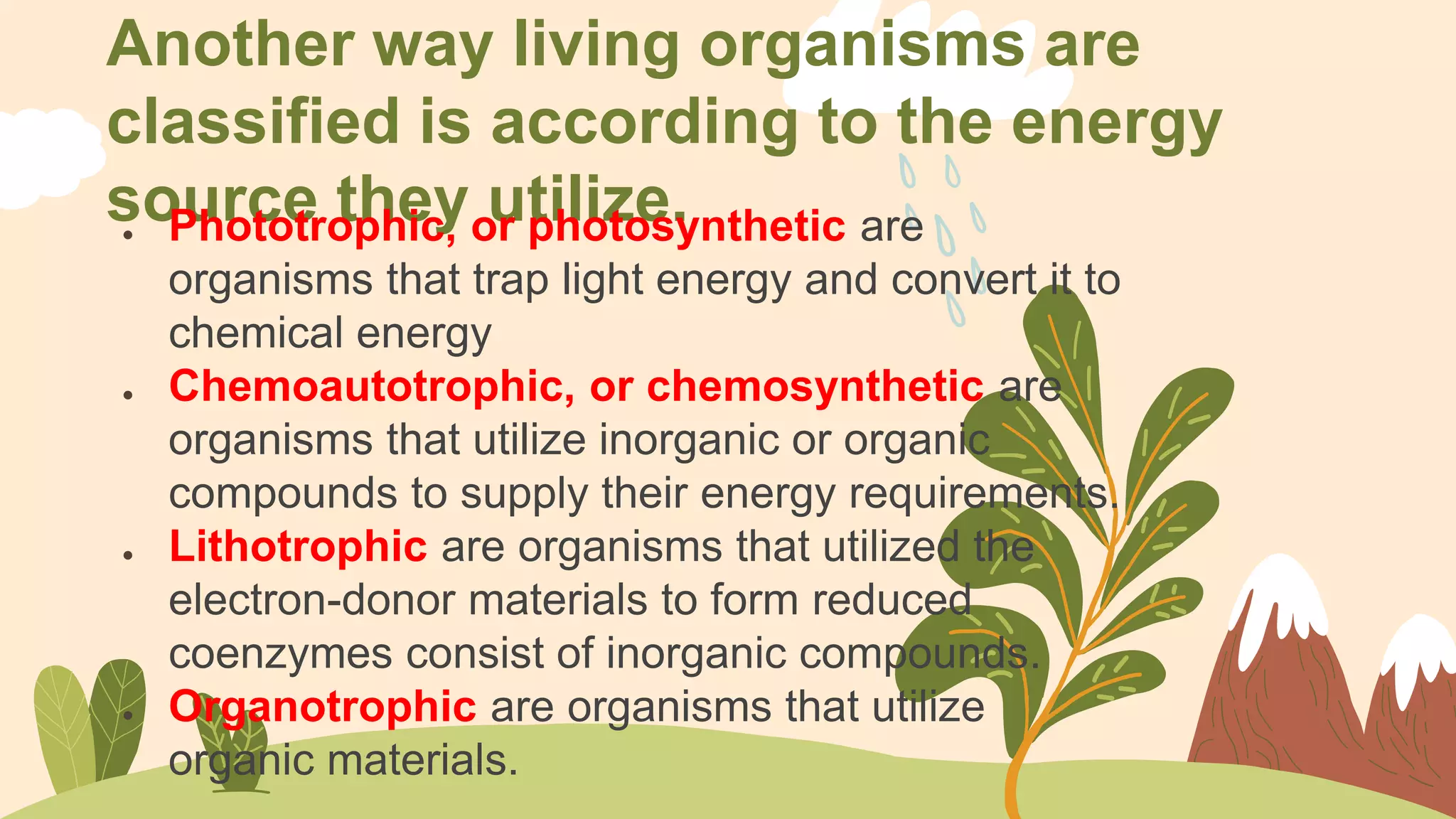 Plant and Animal Nutrition.pptx