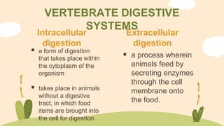 Plant and Animal Nutrition.pptx