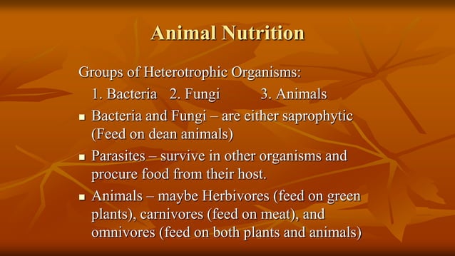 Plant and Animal Nutrition.pptx | Chemistry | Science