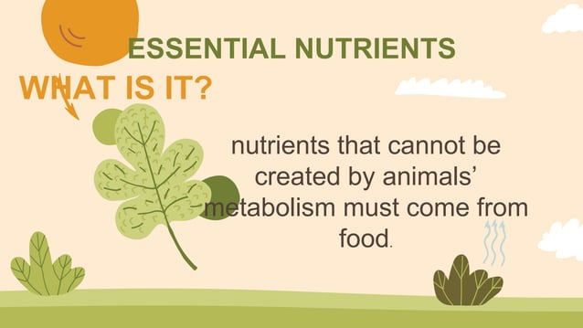 Plant and Animal Nutrition.pptx | Chemistry | Science