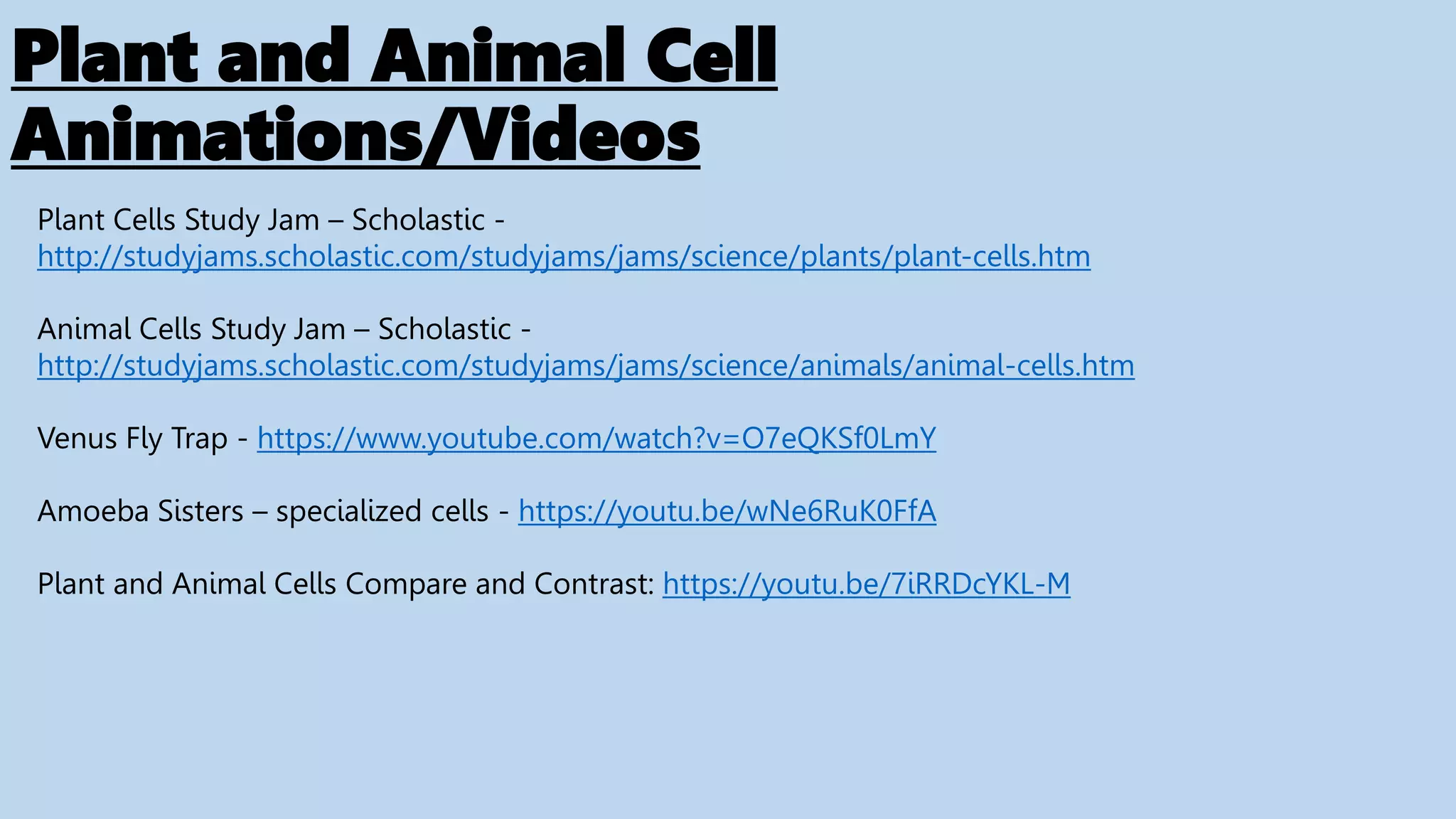 plant and animal ppt.pptx