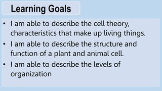 plant and animal ppt.pptx