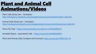 plant and animal ppt.pptx