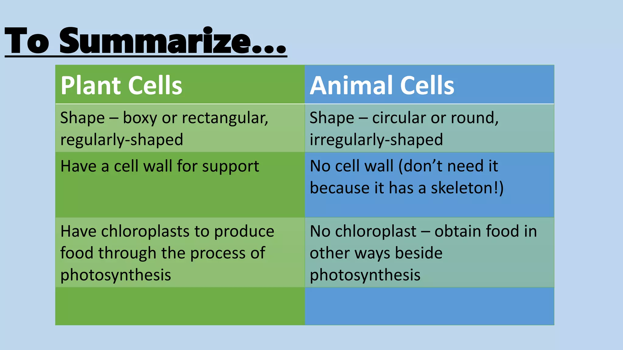 plant and animal ppt.pptx