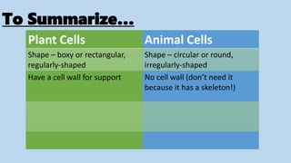 plant and animal ppt.pptx