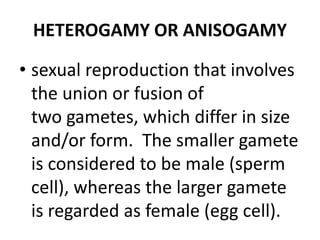 Plant and Animal Reproduction | PPT