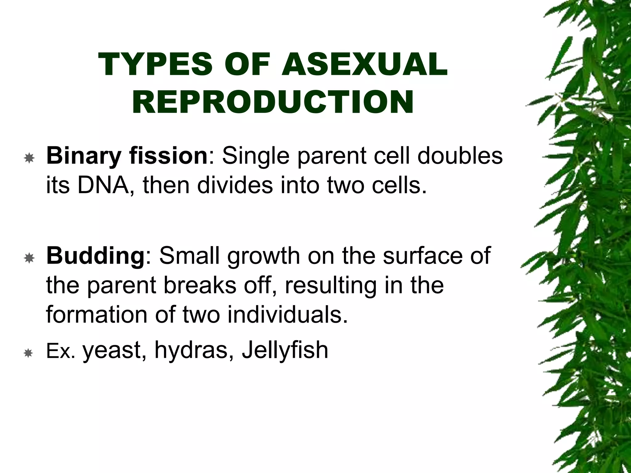 Plant and Animal Reproduction.ppt