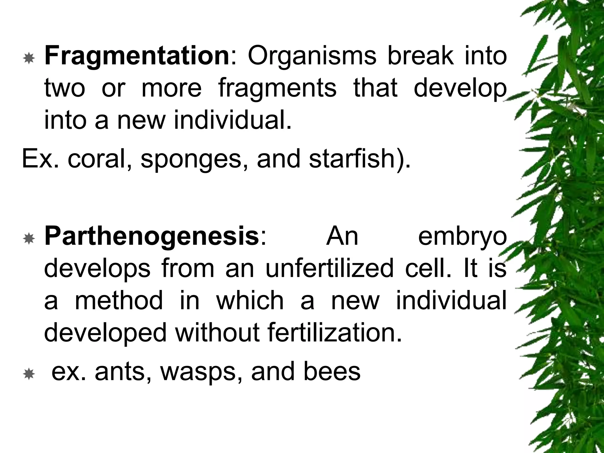 Plant and Animal Reproduction.ppt