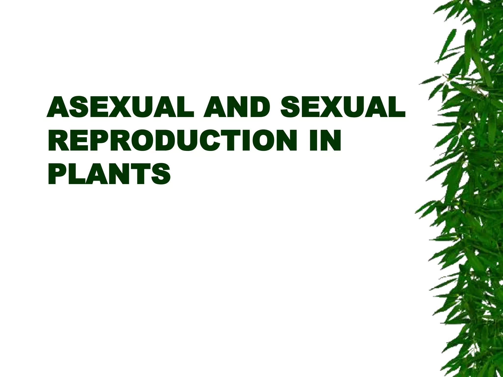 Plant and Animal Reproduction.ppt