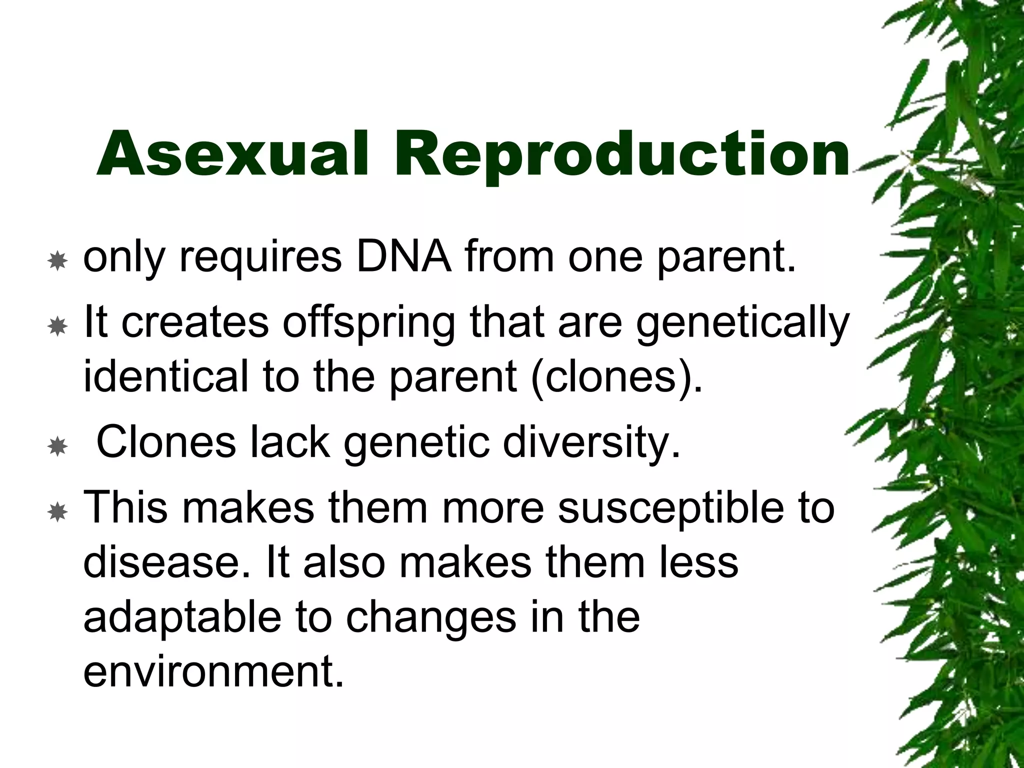Plant and Animal Reproduction.ppt