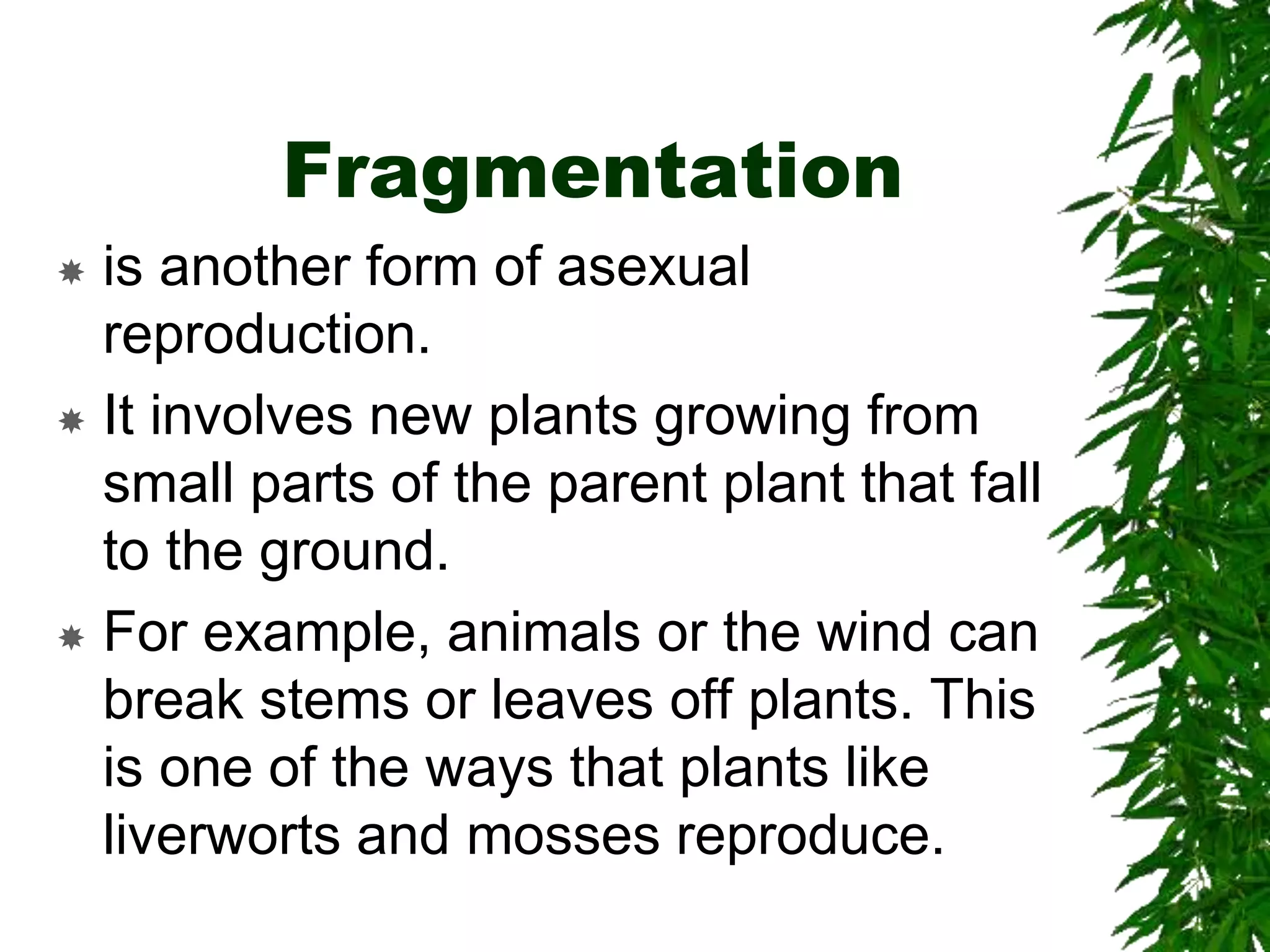 Plant and Animal Reproduction.ppt