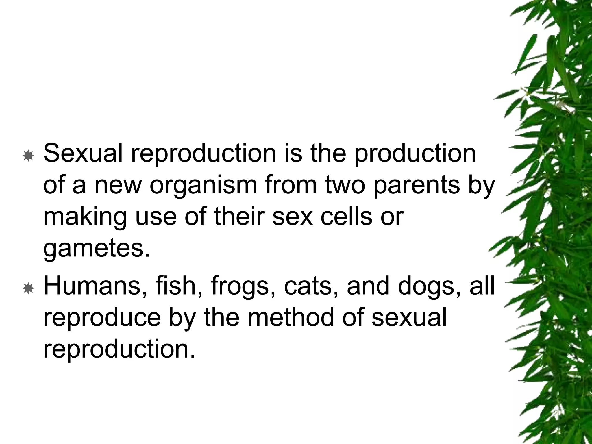 Plant and Animal Reproduction.ppt