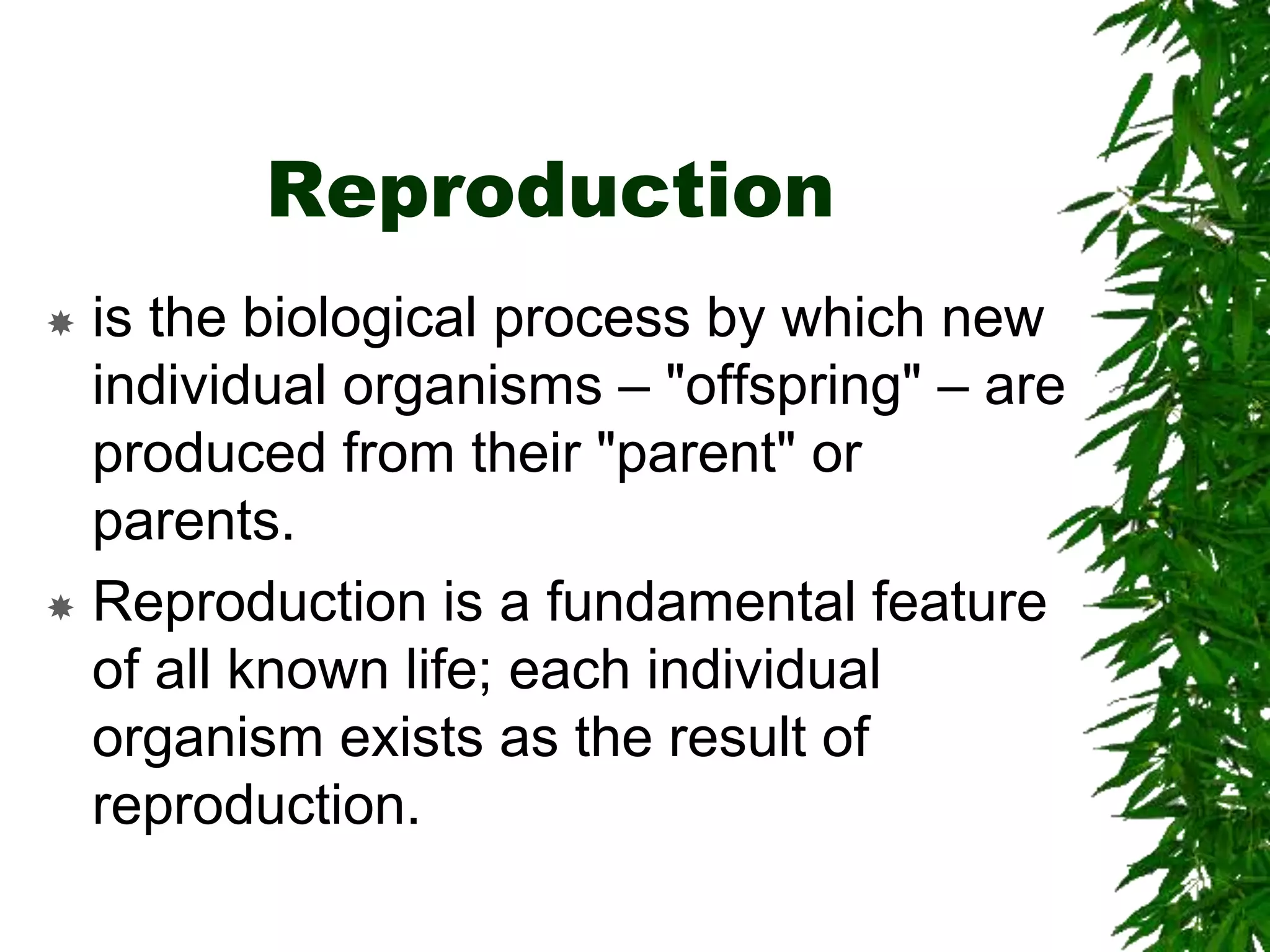 Plant and Animal Reproduction.ppt