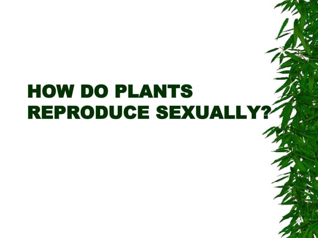 Plant and Animal Reproduction.ppt