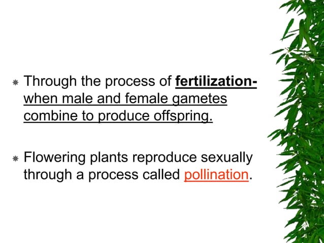 Plant and Animal Reproduction.ppt