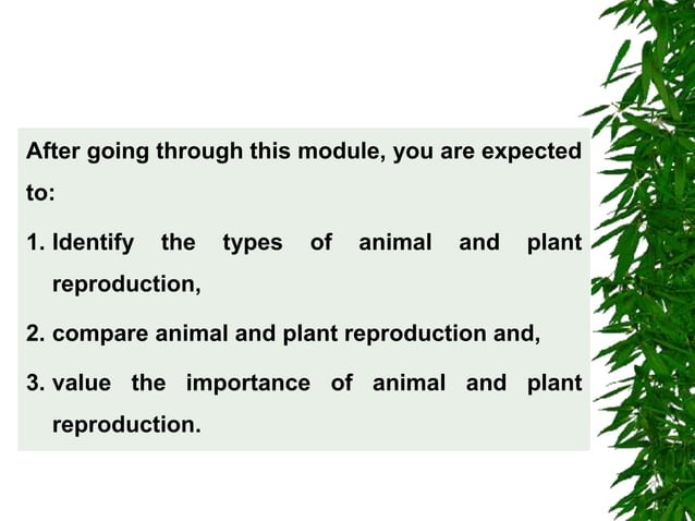 Plant and Animal Reproduction.ppt