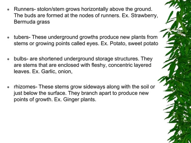 Plant and Animal Reproduction.ppt