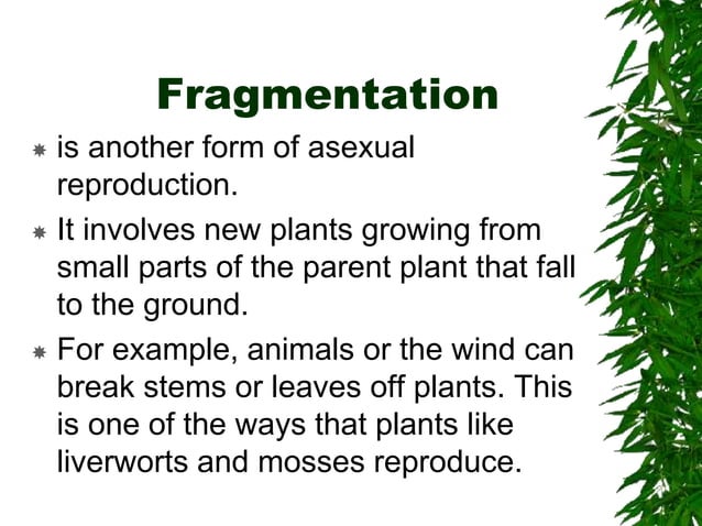 Plant and Animal Reproduction.ppt