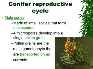 Plant and Animal Reproduction.ppt
