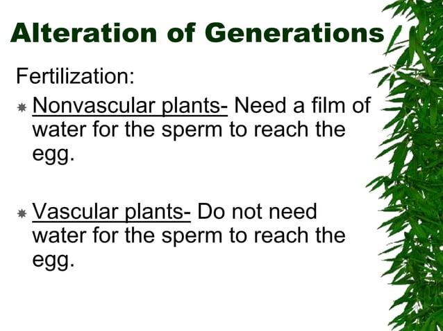 Plant and Animal Reproduction.ppt