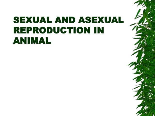 Plant and Animal Reproduction.ppt