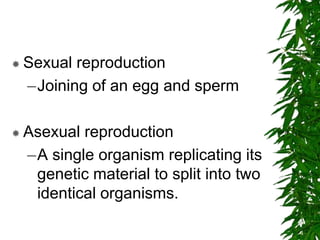 Plant and Animal Reproduction.ppt