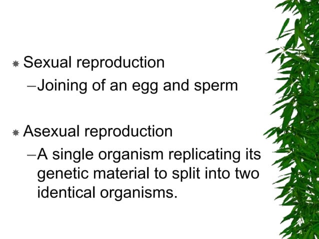 Plant and Animal Reproduction.ppt