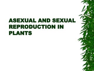 plant and animal reproduction presentation.ppt