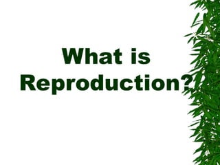 plant and animal reproduction presentation.ppt