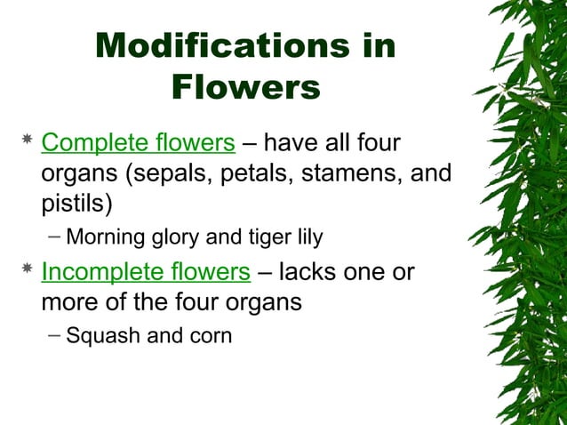 plant and animal reproduction presentation.ppt | Infertility ...