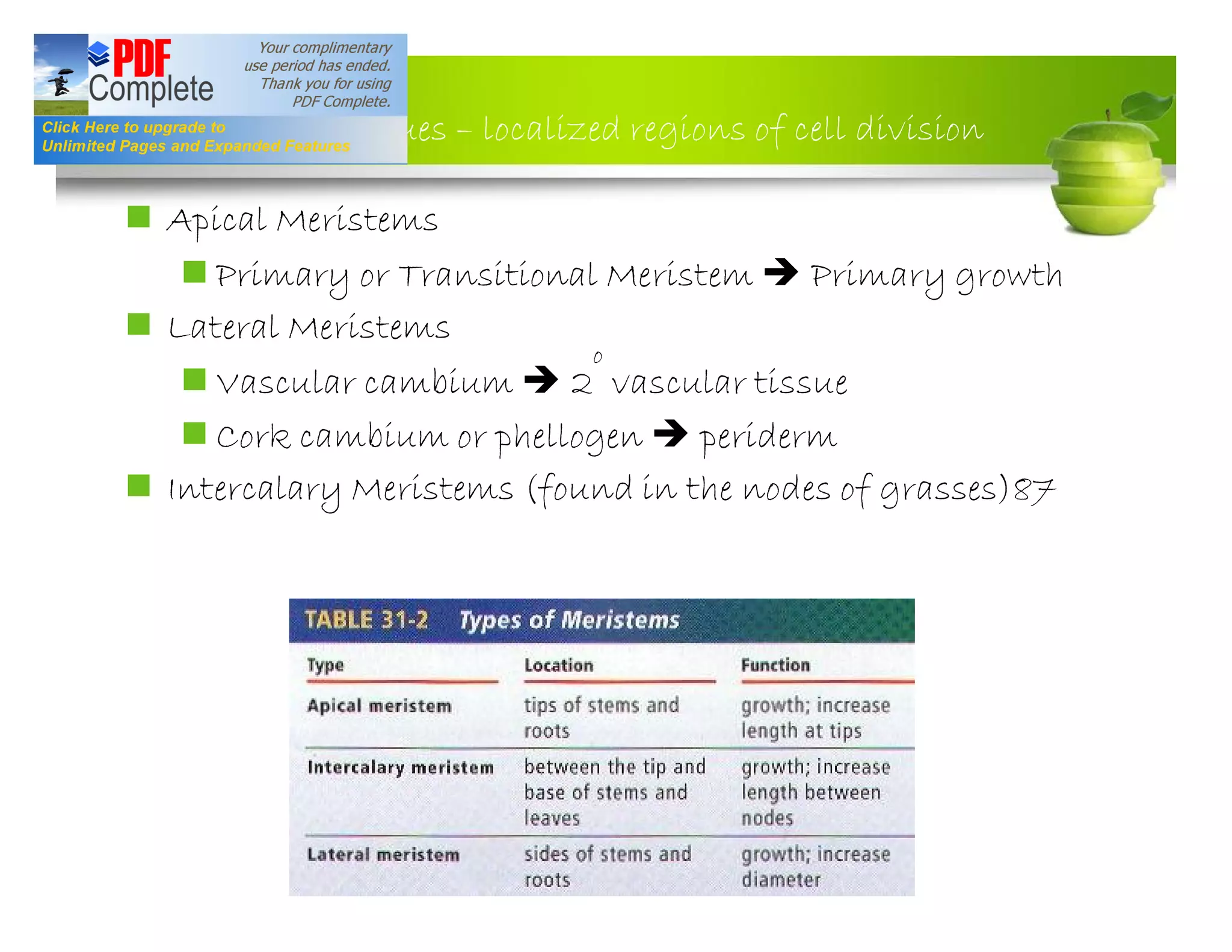 Plant and animal tissue ppt | PDF