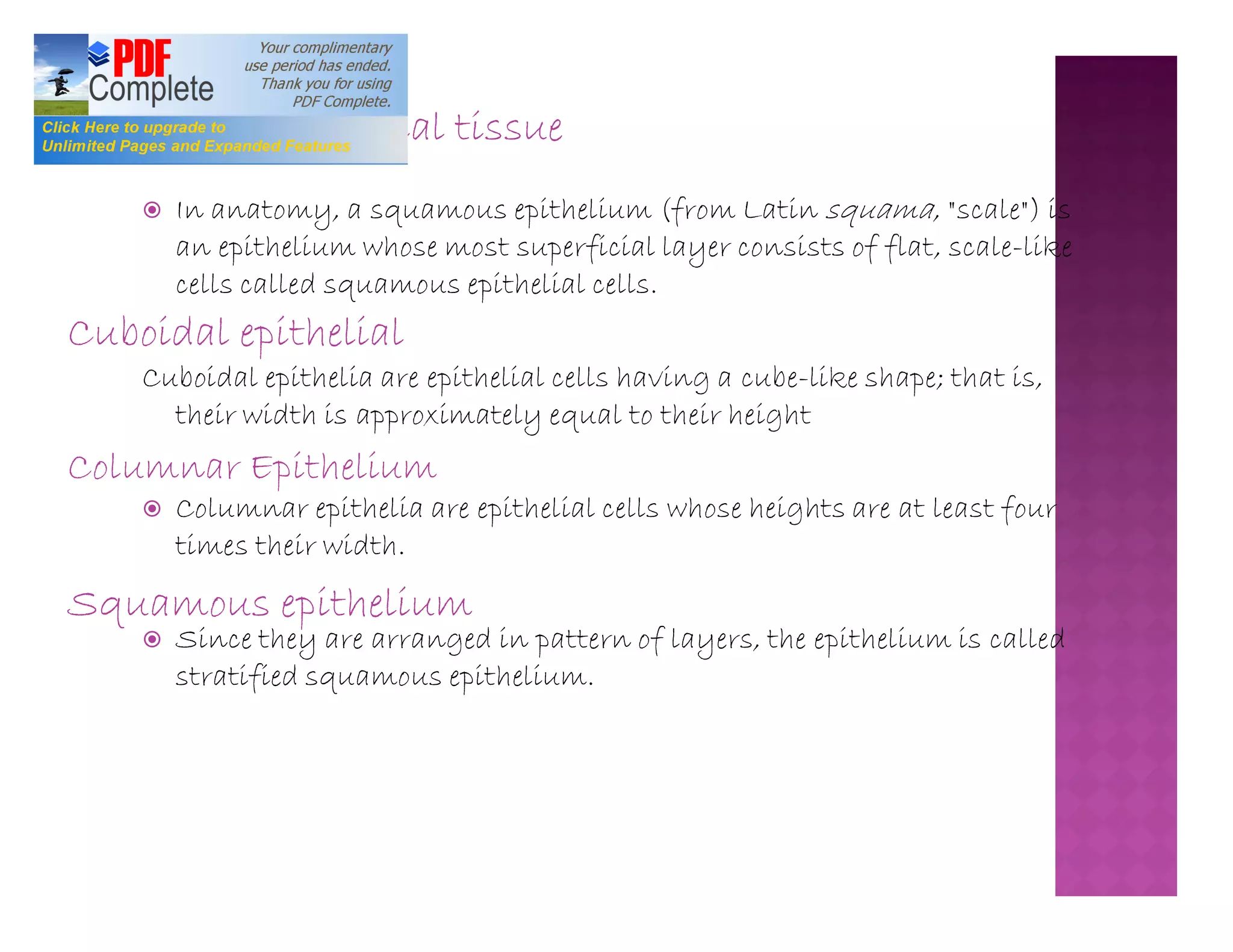 Plant and animal tissue ppt | PDF