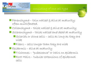 Plant and animal tissue ppt | PDF