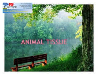 Plant and animal tissue ppt | PDF | Bodybuilding | Sports