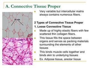 BIOLOGICAL SCIENCE~plant and animal tissues | PPTX