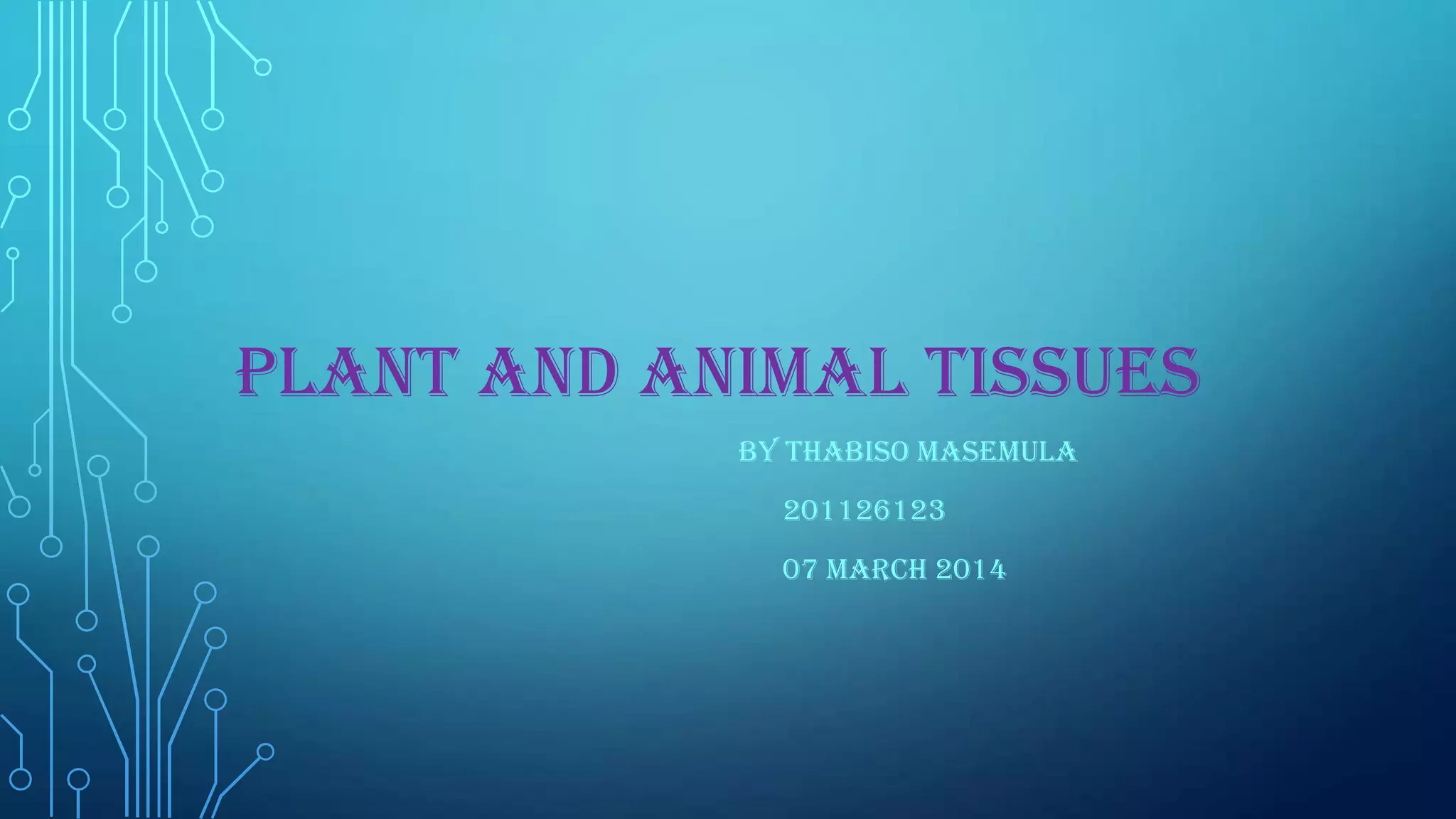 Plant and animal tissues | PPTX