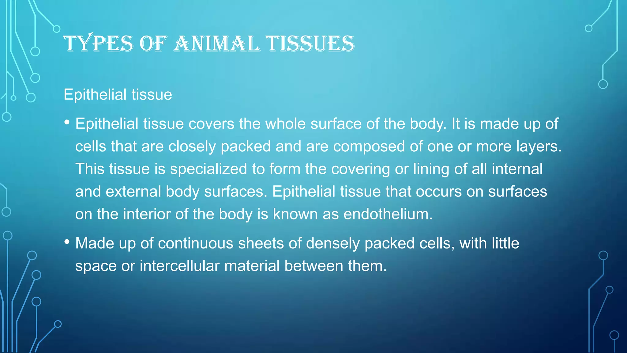 Plant and animal tissues | PPTX