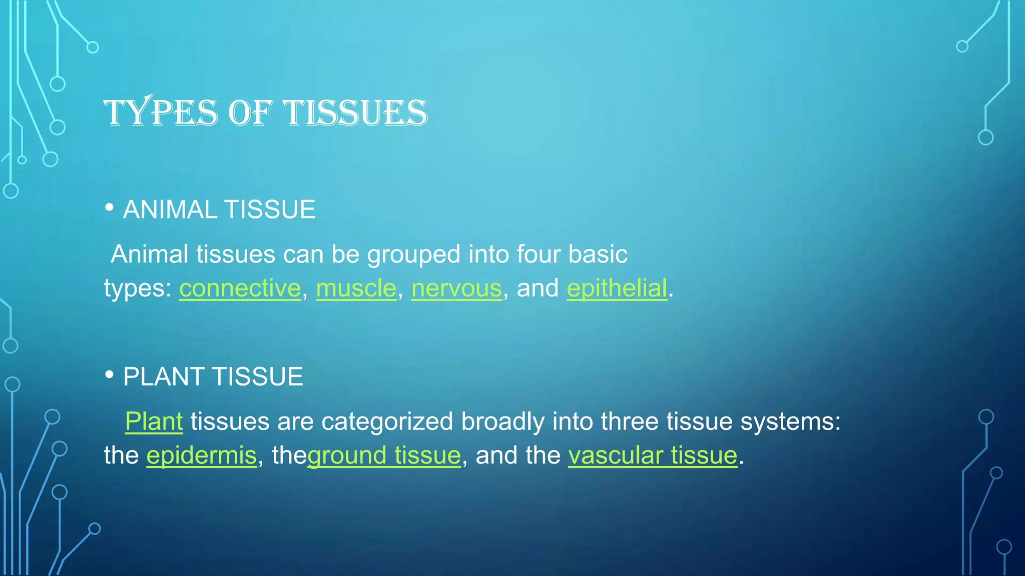 Plant and animal tissues | PPTX