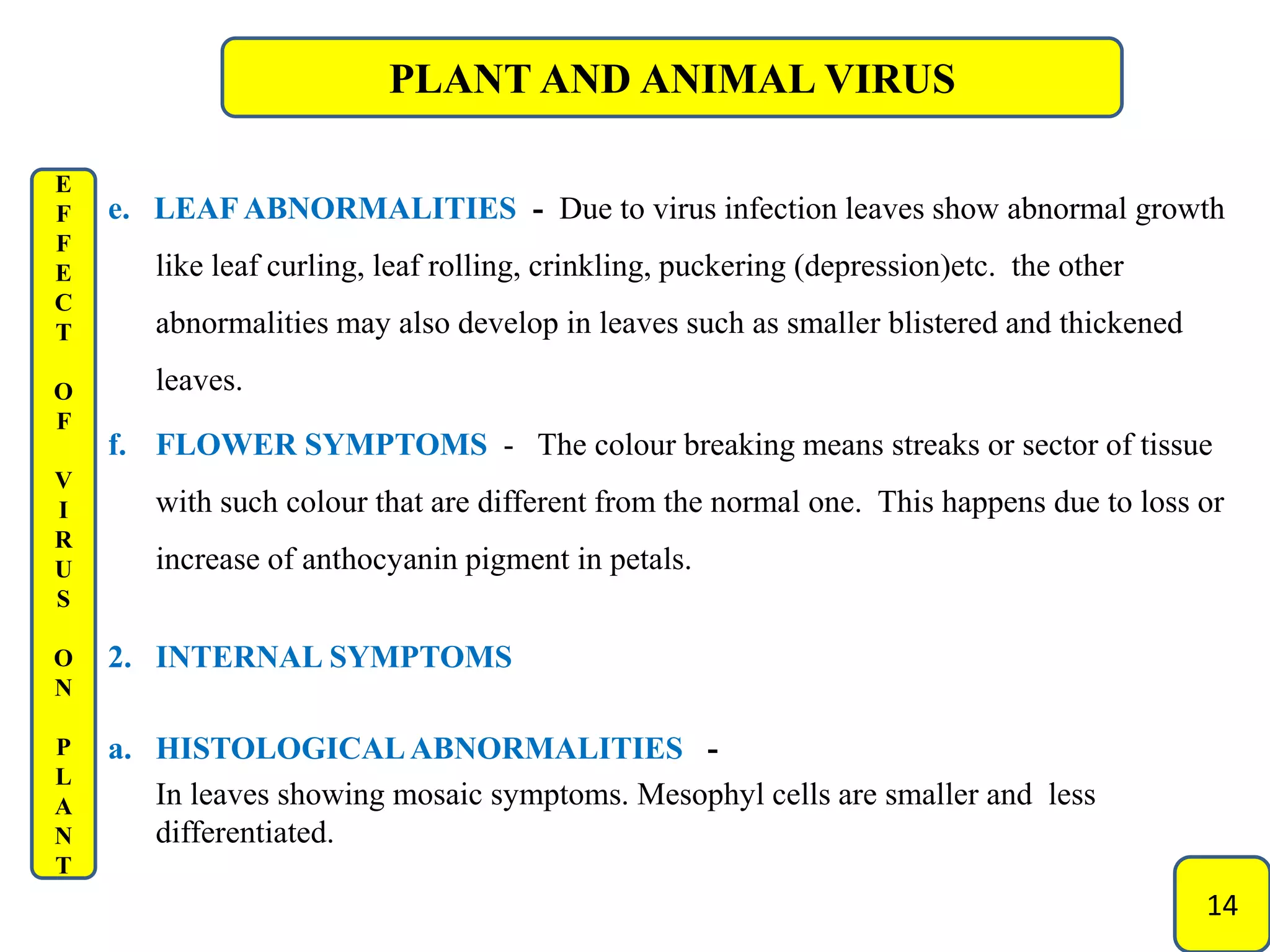 Plant and animal viruse | PPTX