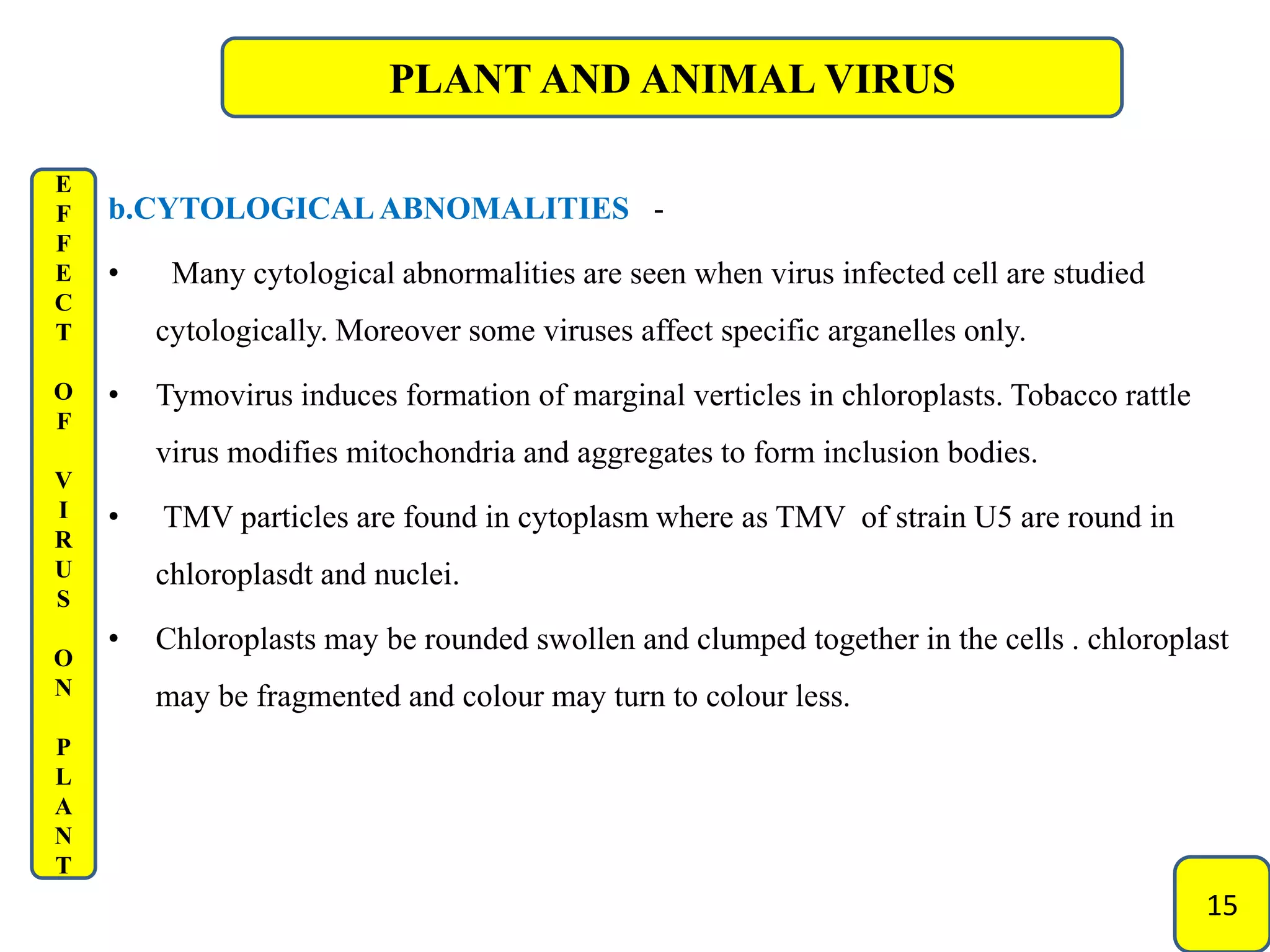 Plant and animal viruse | PPTX