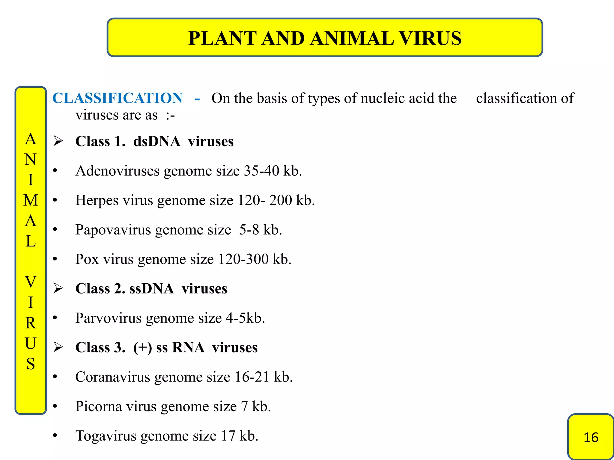 Plant and animal viruse | PPTX