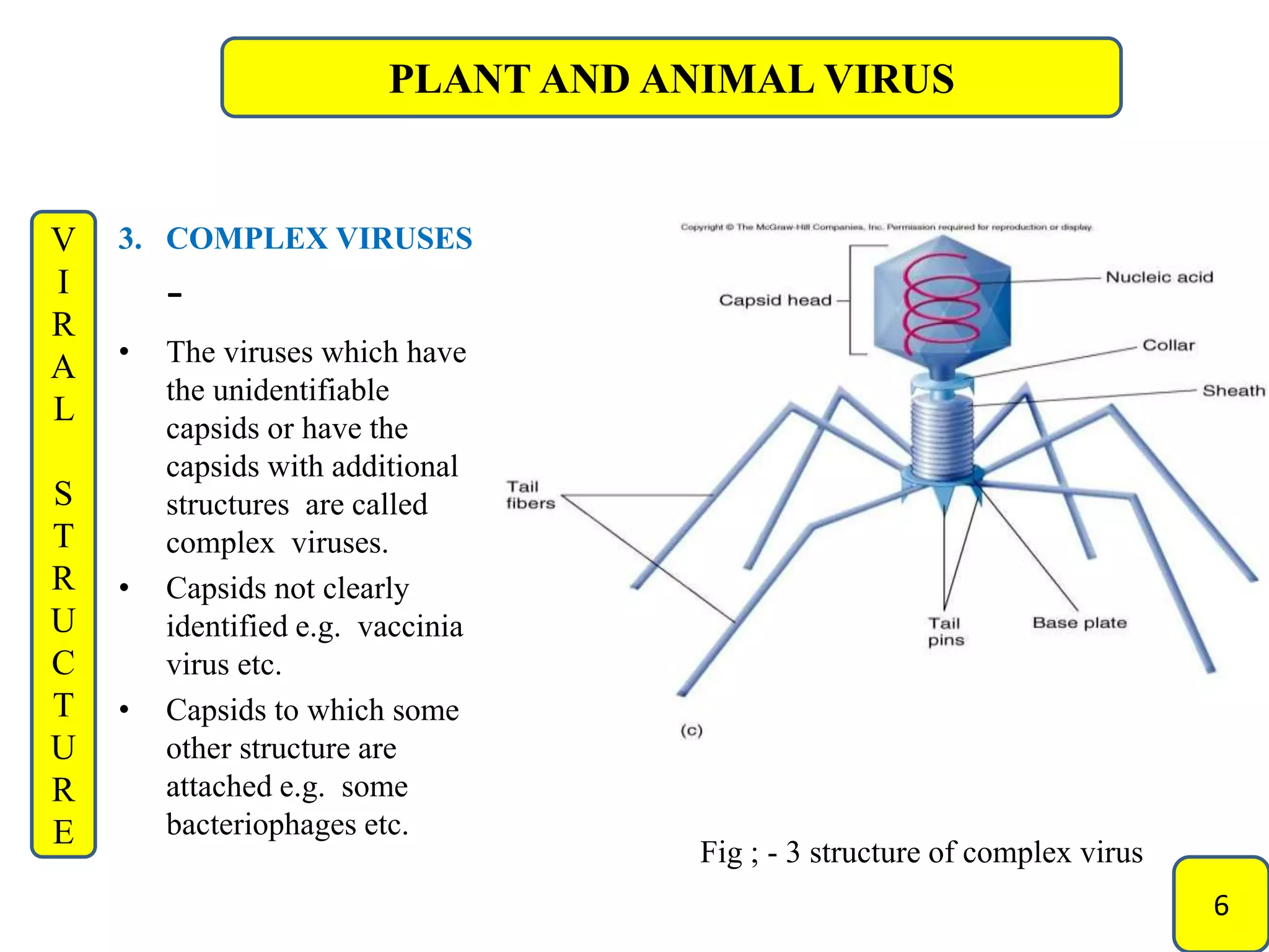 Plant and animal viruse | PPTX