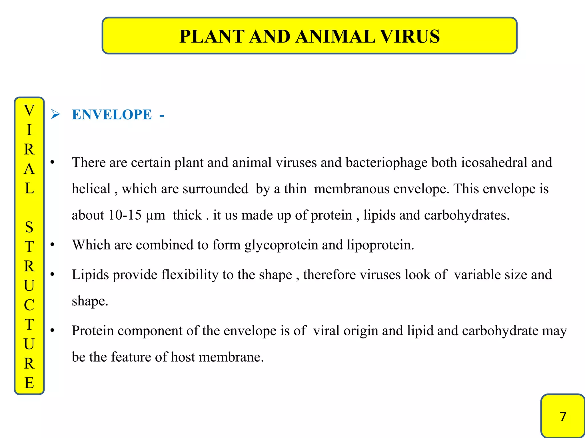 Plant and animal viruse | PPTX