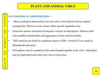 Plant and animal viruse | PPTX