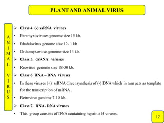 Plant and animal viruse | PPTX