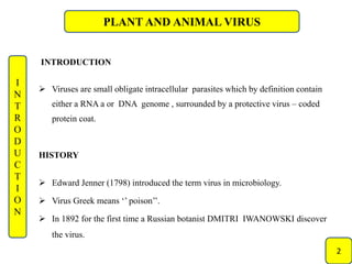 Plant and animal viruse | PPTX